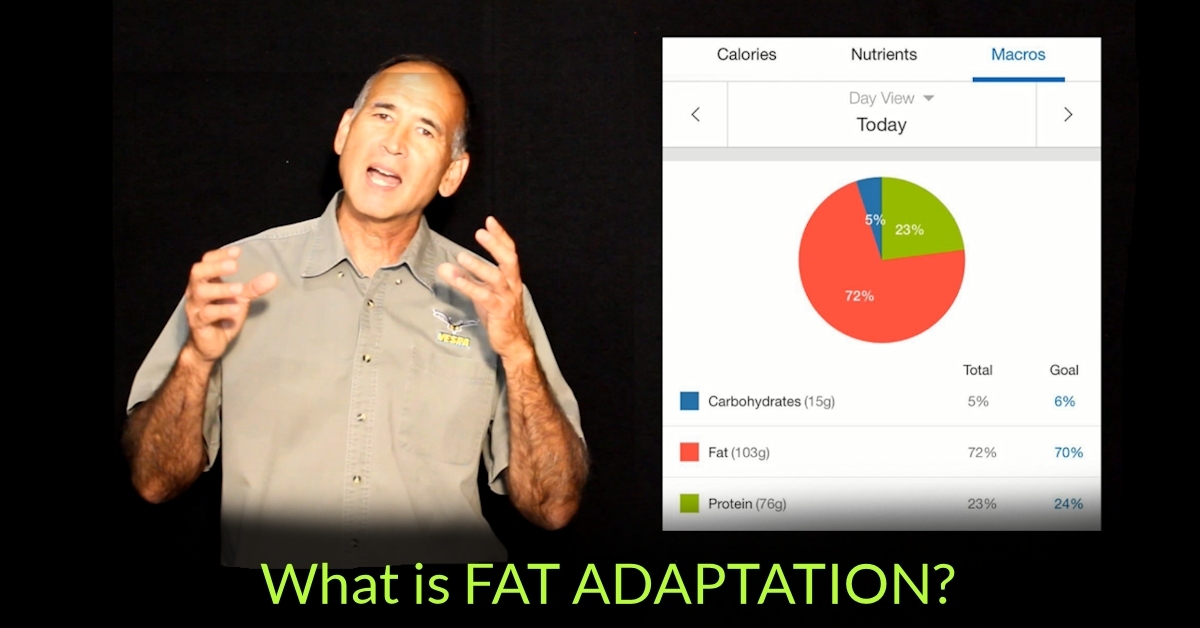 What is Fat Adaptation? - OFM