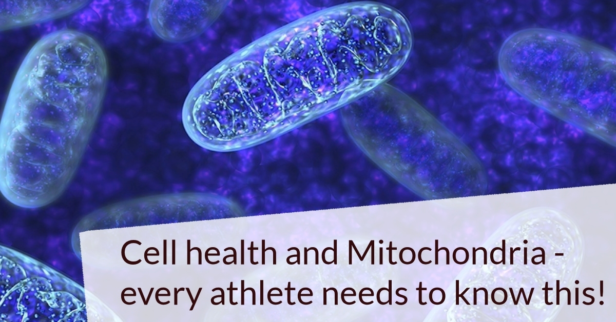Cell health and Mitochondria – every athlete needs to know this! - OFM