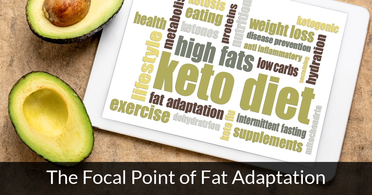 The Focal Point of Fat Adaptation - OFM