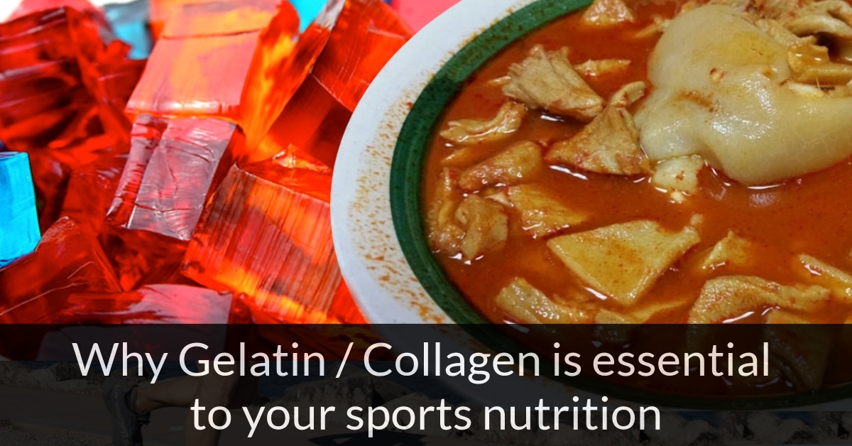 Why Gelatin / Collagen is essential to your sports nutrition - OFM