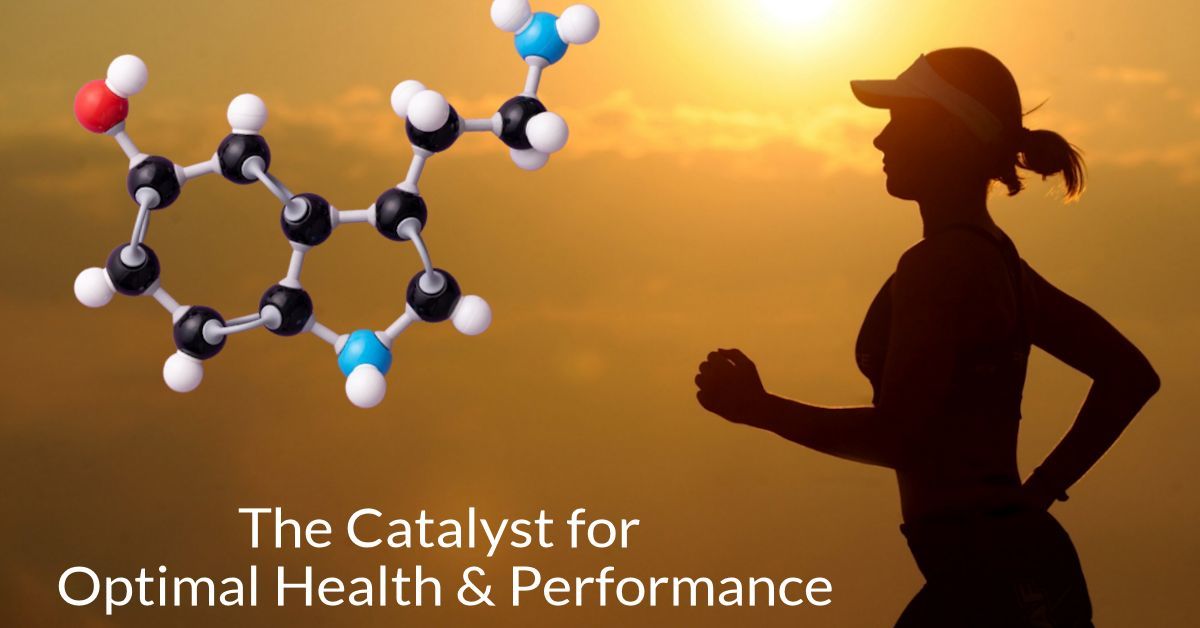 The Catalyst for Optimal Health & Performance - OFM