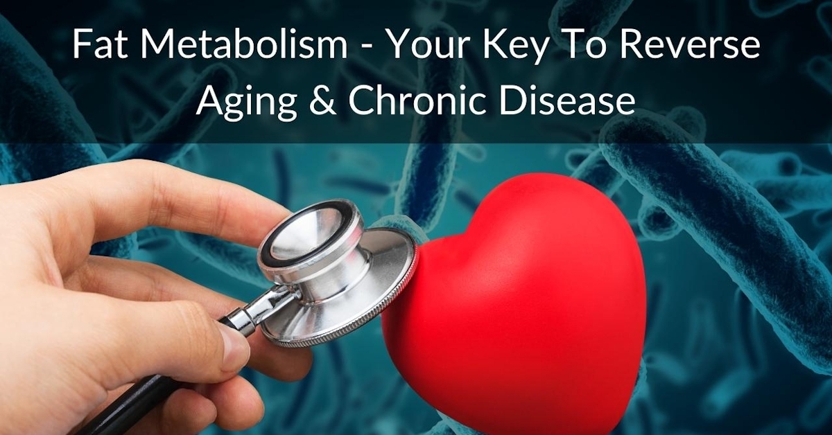 Fat Metabolism – Your Key To Reverse Aging & Chronic Disease - OFM