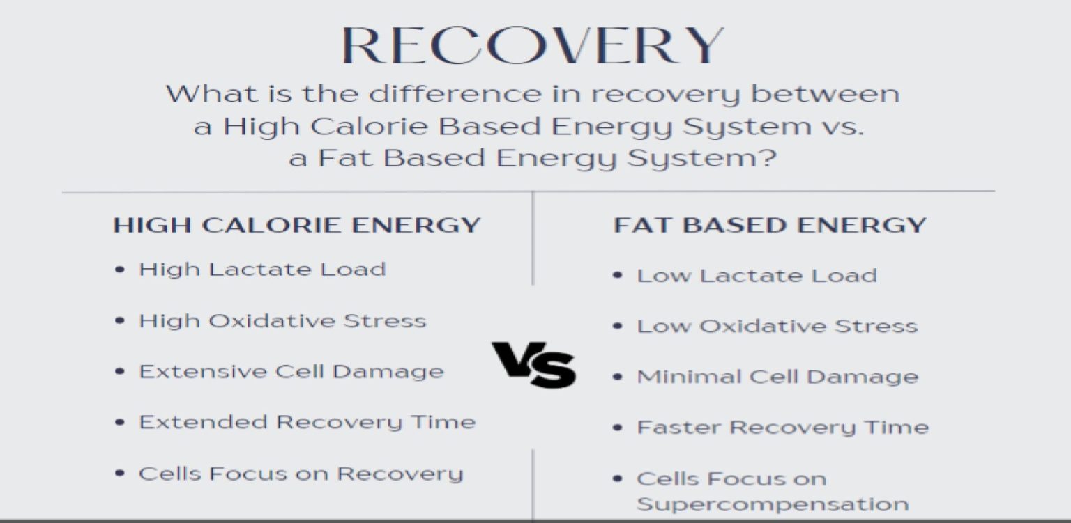 How to Improve Training Effect and Reduce Recovery Time - OFM