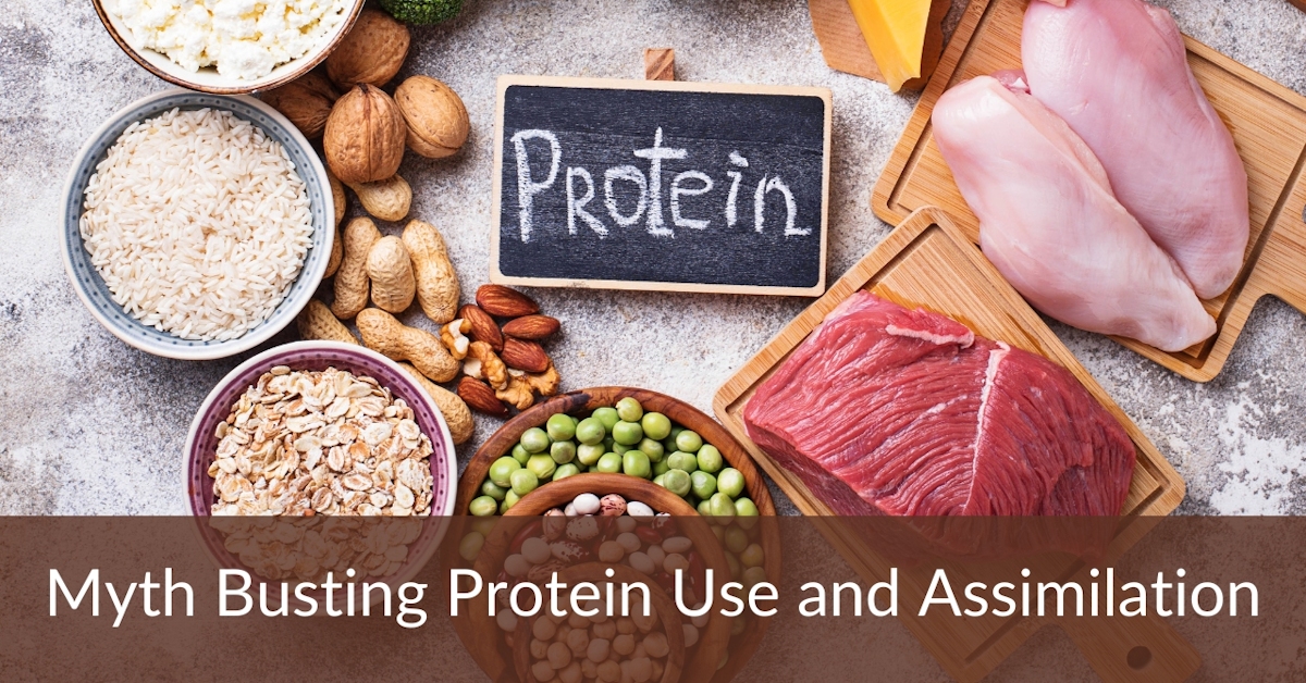 Myth Busting Protein Use and Assimilation - OFM