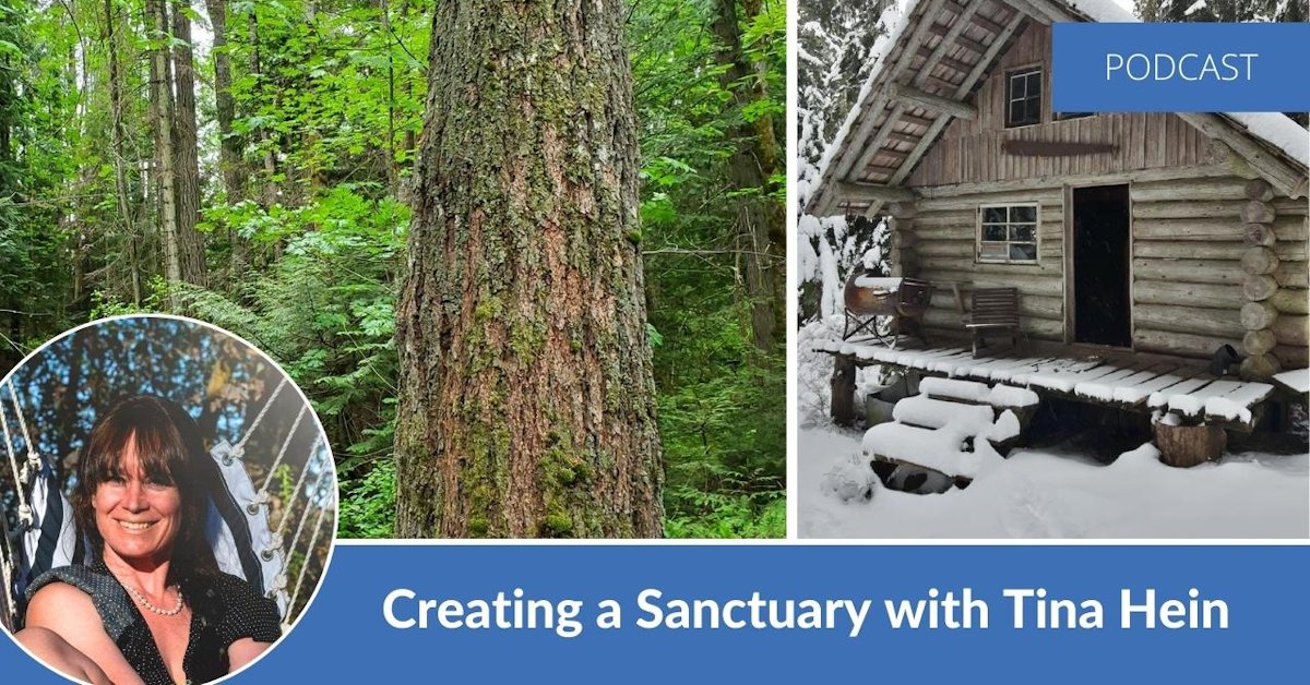 Creating a Sanctuary with Tina Hein - OFM